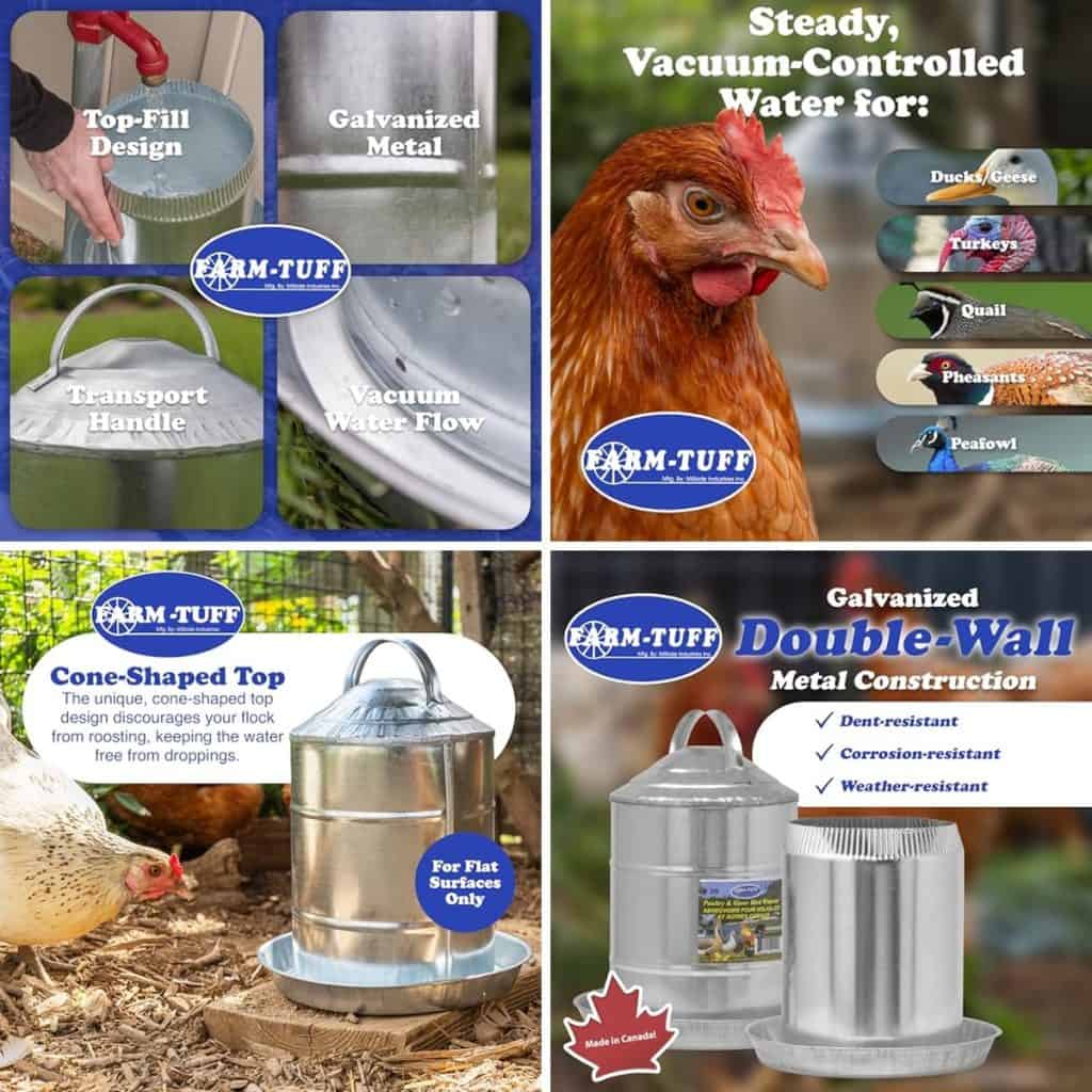 10 Best Chicken Waterers - Growersreview.com