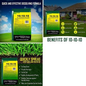 10 Best Slow-Release Fertilizers for Flower Beds in 2025 ...